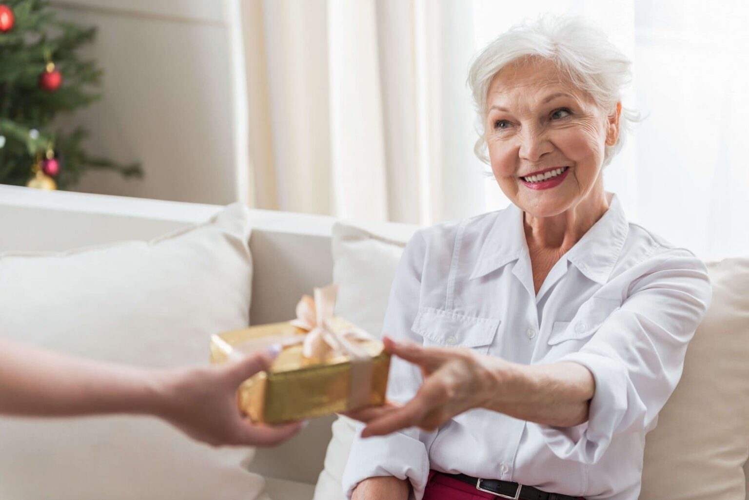 10 Holiday Gift Ideas for Seniors | SALMON Health and Retirement
